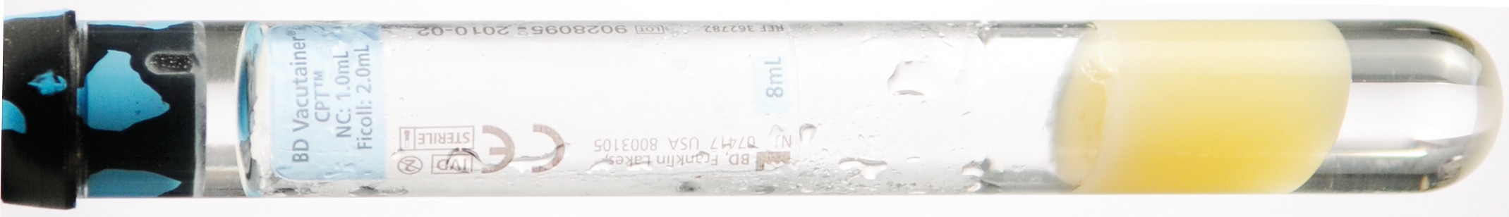 BD Vacutainer® CPT™, 8ml, 16x125mm (NAC) - 362782 | BD