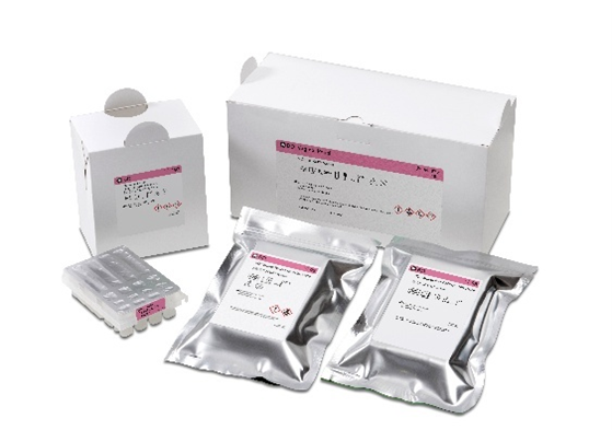 BD Vaginal Panel for BD COR™ System - 443976 | BD