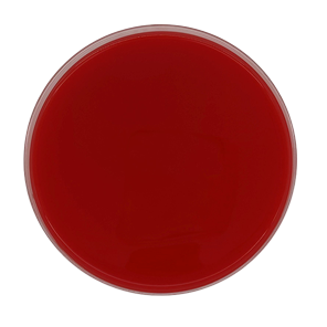 BD BBL™ Mueller Hinton Agar with 5% Sheep Blood 150mm Plate 24pk ...