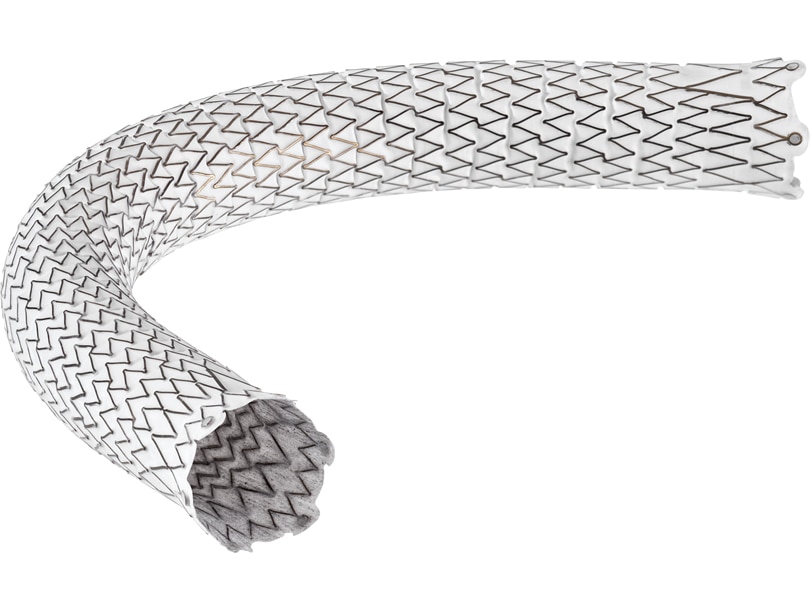 Covera™ Vascular Covered Stent - AVFM08060 | BD
