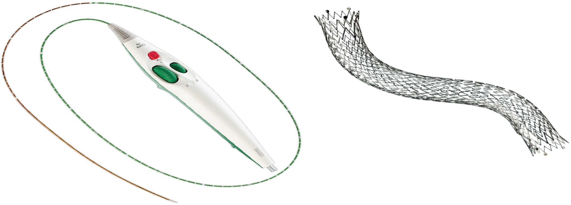 LIFESTENT™ 5F Vascular Stent System, 135 cm, 6 mm × 40 mm - 5F060403C | BD