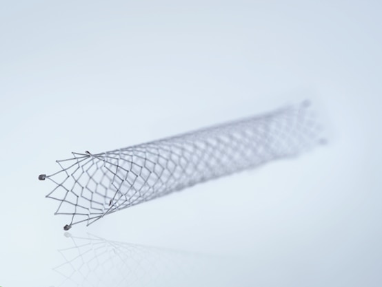血管支架系统 LifeStar Vascular Stent System - VIEL06100 | BD