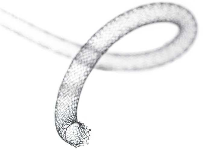 LifeStent™ Solo™ Vascular Stent System | BD