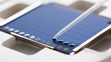 BD™ Bruker MALDI Biotyper® CA System | BD