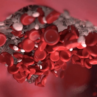 Avitene Mechanism of Action Video | BD