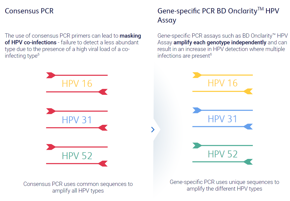 Improve Cervical Cancer Risk Assessment | BD Canada