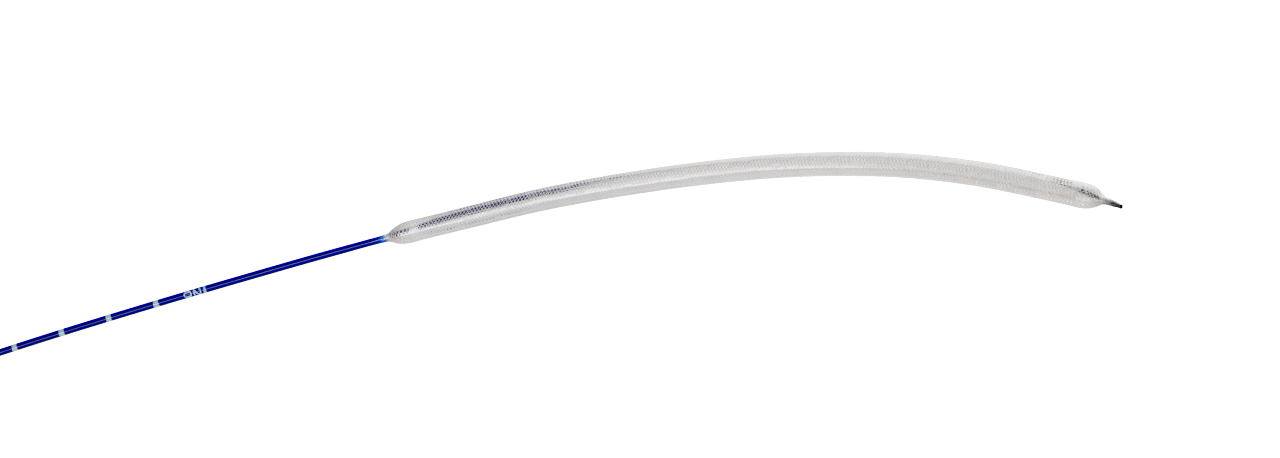 Highlander™ 014 PTA Balloon Dilatation Catheter