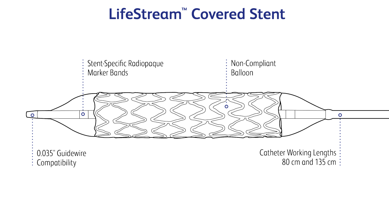 LifeStream™ Balloon Expandable Vascular Covered Stent | BD