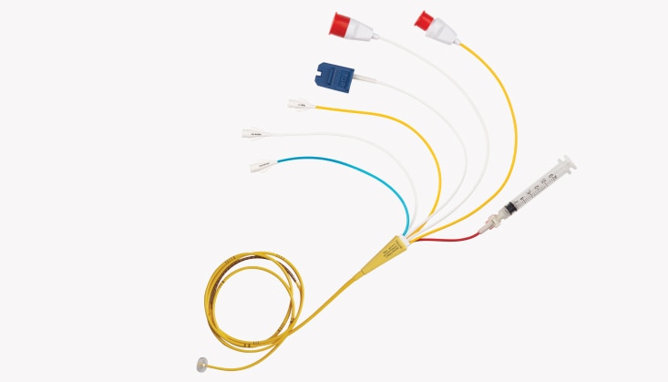 Swan-Ganz™ IQ Pulmonary Artery Catheters | BD