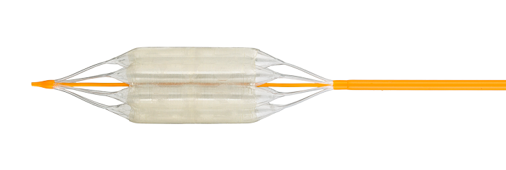 True™ Flow Valvuloplasty Perfusion Catheter | BD