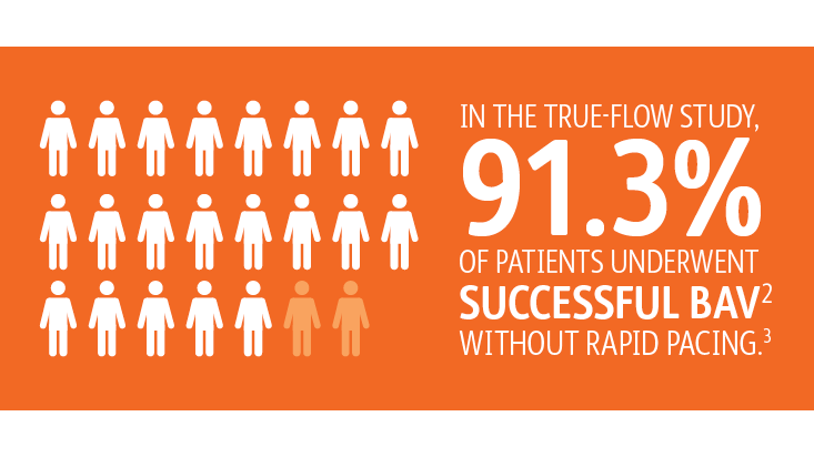 True™ Flow Valvuloplasty Perfusion Catheter | BD